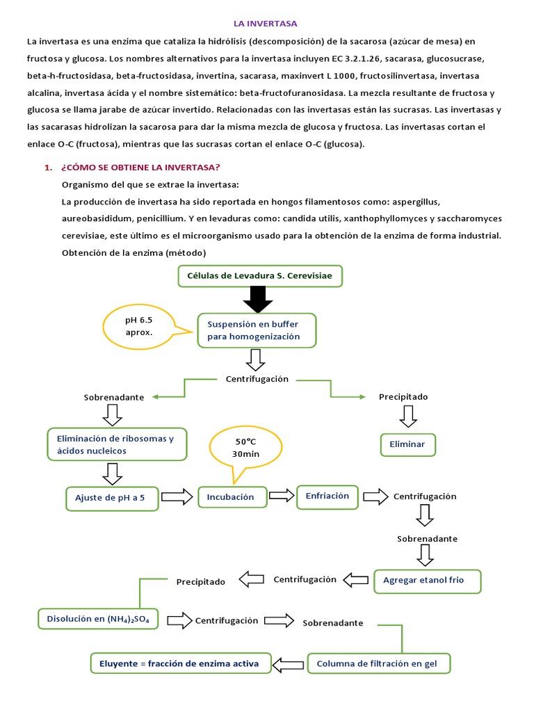 La Invertasa | PDF | Sacarosa | Sustancias químicas