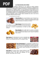 Historia Del Patache | PDF | Cocina | Cocina occidental