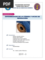 Técnicas de Enucleación en Pequeñas Especies. | PDF | Cirugía | Ojo