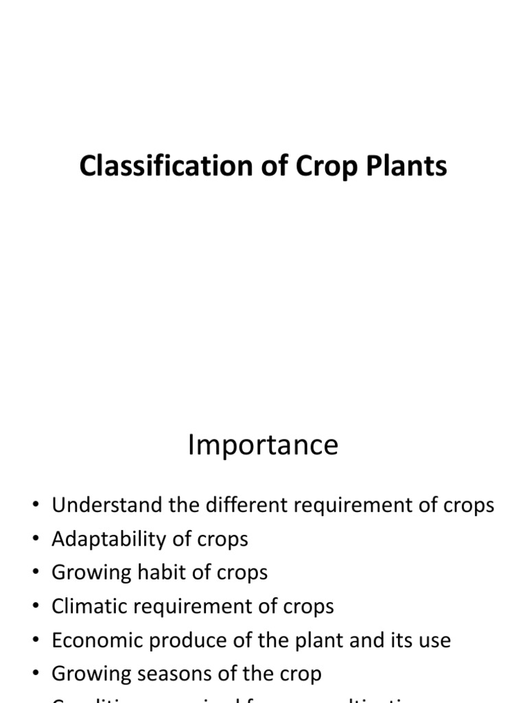 Classification of Crop Plants Overview | PDF | Staple Foods | Cereals
