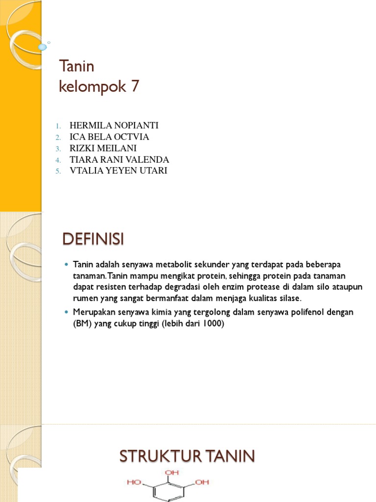 Fitokimia Tanin Kel 7 | PDF | Memasak, Makanan, & Anggur | Kesehatan ...