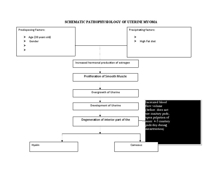 Uterine Myoma Pathophysiology Overview | PDF
