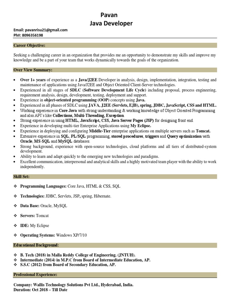 PavanKumar Resume | Download Free PDF | Java Server Pages | Java (Programming Language)
