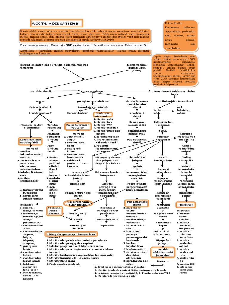Woc Sepsis | PDF