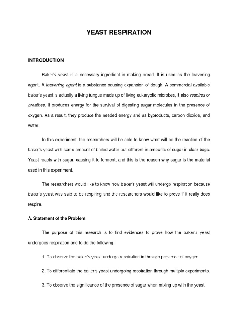 Yeast Respiration | PDF | Baker's Yeast | Yeast