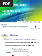 API Rapid 20E Identification Guide | PDF | Organisms | Microbiology