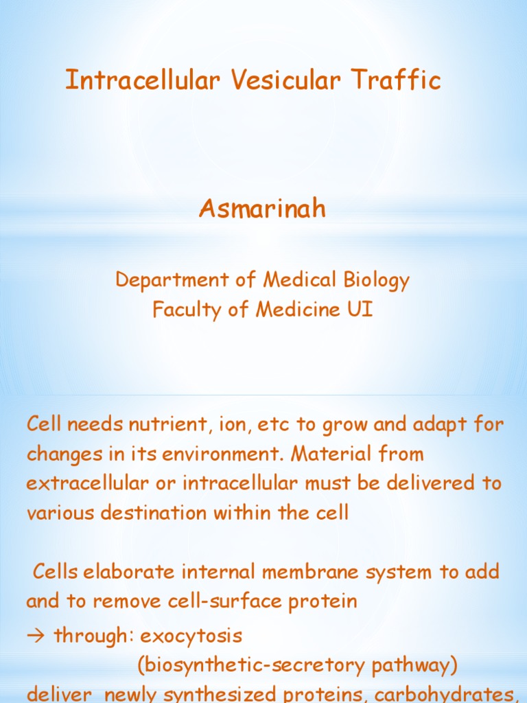 Intracellular Vesicular Transport Mechanisms | PDF | Vesicle (Biology ...