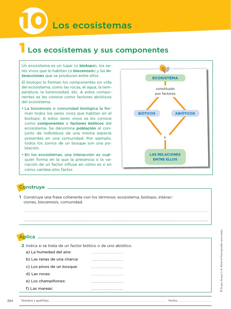 Biología 1 ESO | PDF | Ecosistema | Desierto