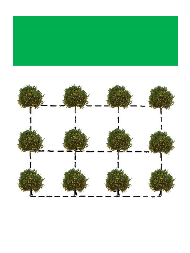 Layout Design System in Orchard Garden | PDF