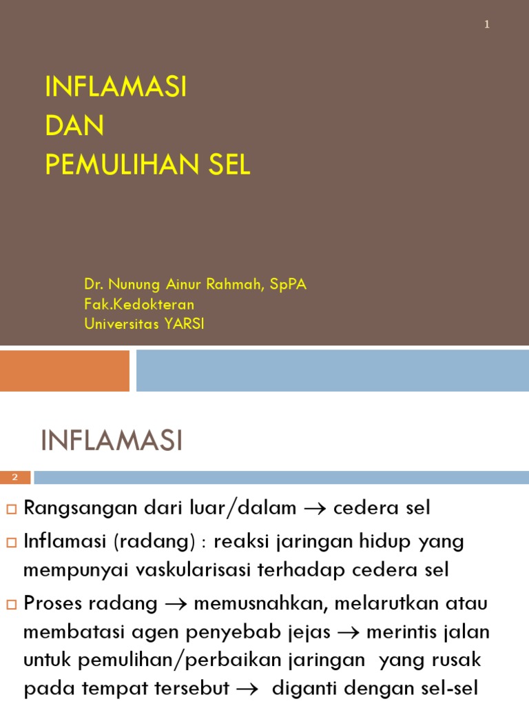 Proses dan Tahapan Inflamasi | PDF