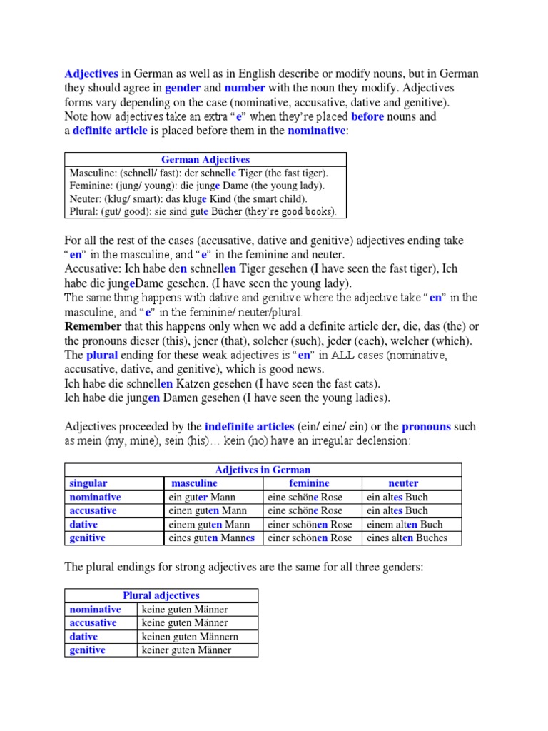 Adjectives | PDF | Grammatical Gender | Adjective