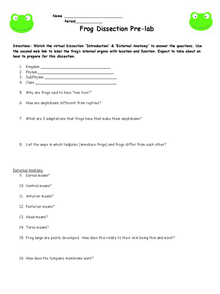 Frog Dissection Worksheet With Virtual Dissection | PDF | Frog | Amphibian