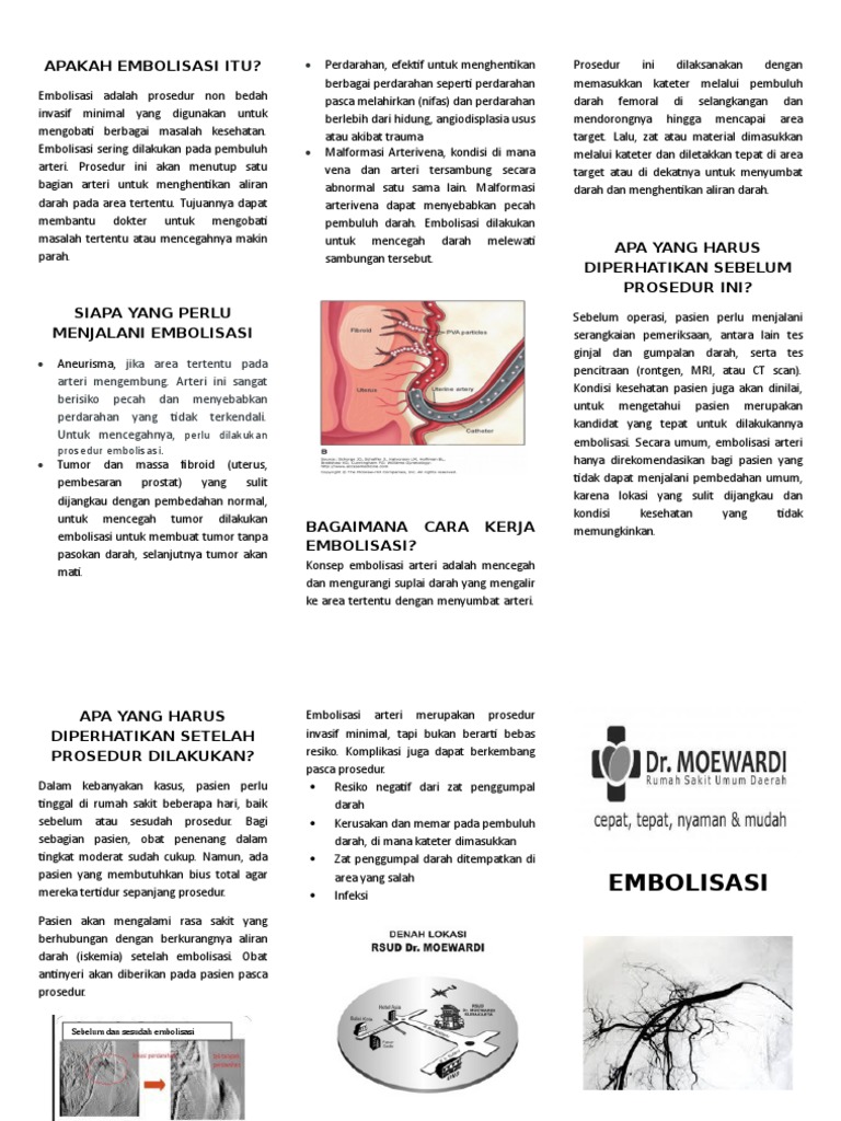 Panduan Lengkap Prosedur Embolisasi | PDF