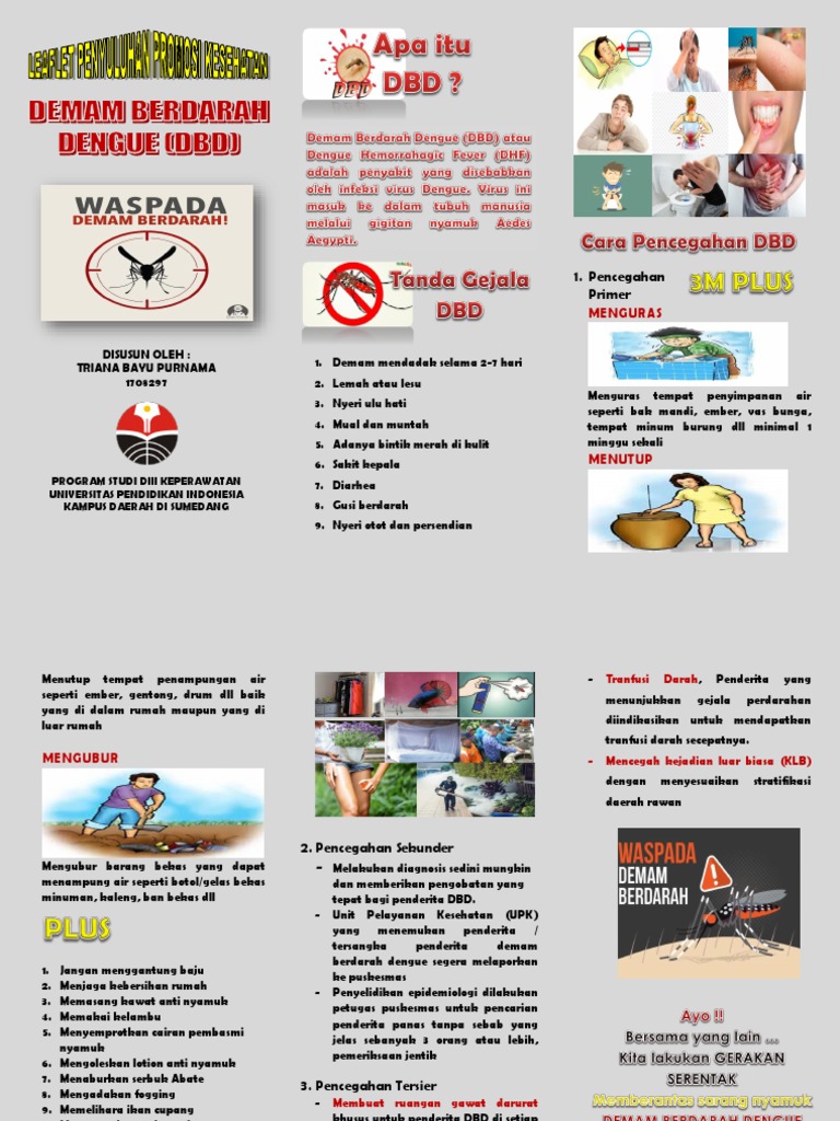 Leaflet DBD | PDF