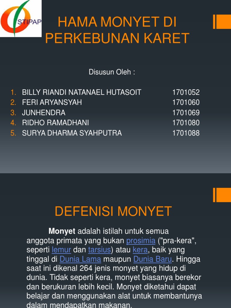 Hama Monyet Di Perkebunan Karet | PDF