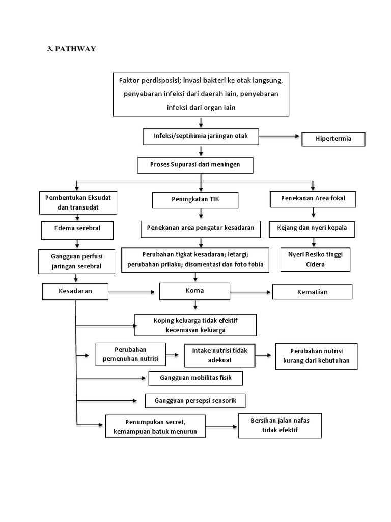 Pathway Abses Cerebri | PDF