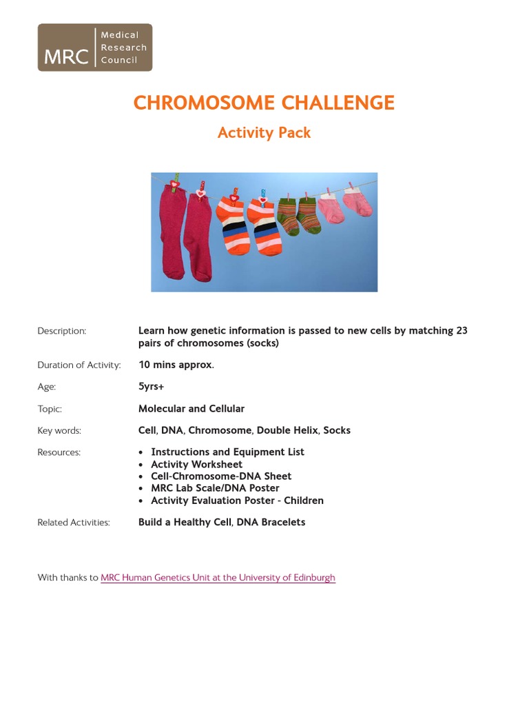 Chromosome Challenge Activity Pack | PDF | Chromosome | Nucleic Acid ...