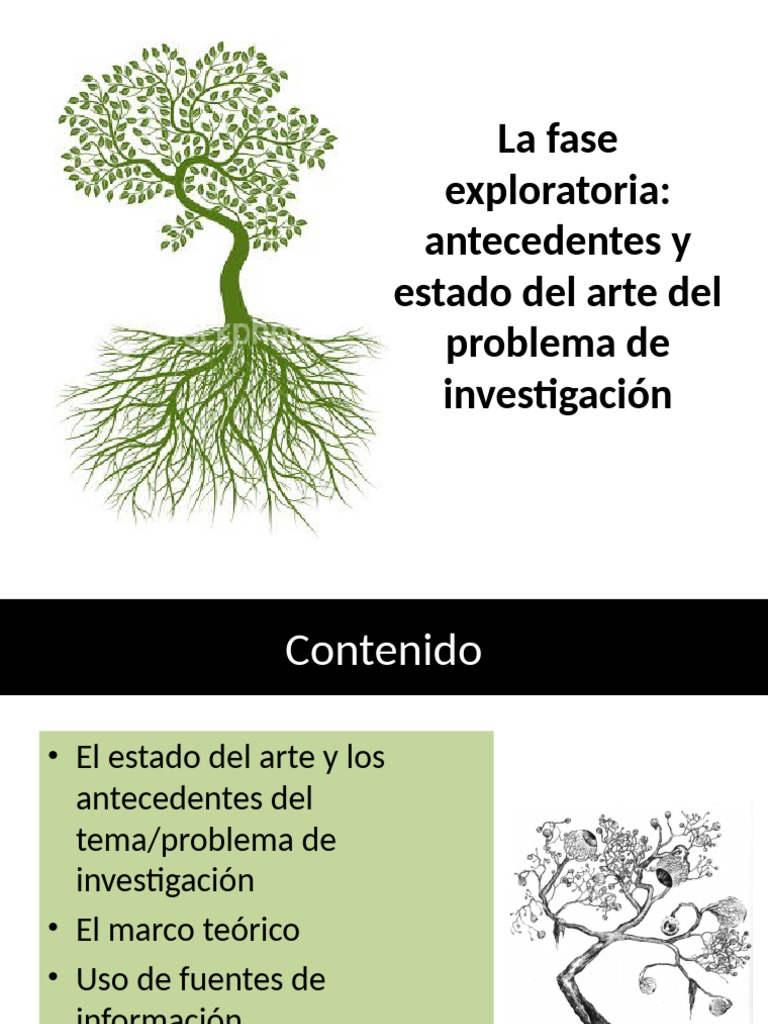 La Fase Exploratoria | PDF | Teoría | Empirismo