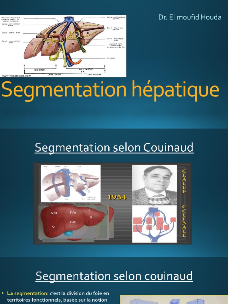 Segmentation Hépatique | PDF