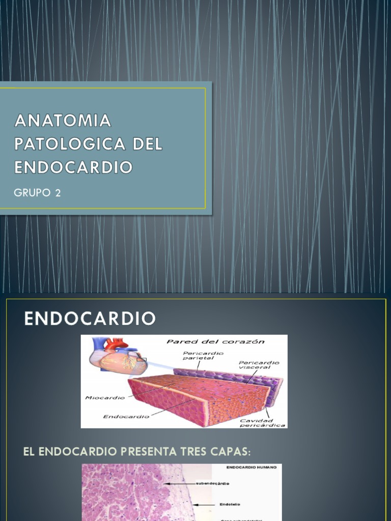 Anatomia Patologica Del Endocardio | PDF | Inmunología | Especialidades ...
