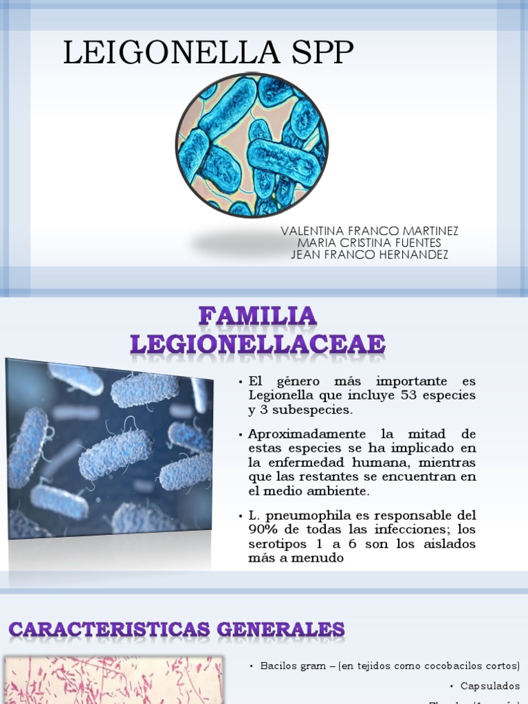 Legionella: Características y Enfermedades | PDF | Medicina | Ciencias ...