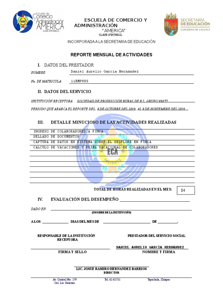 Reporte Mensual S.S 2019-2020 | PDF