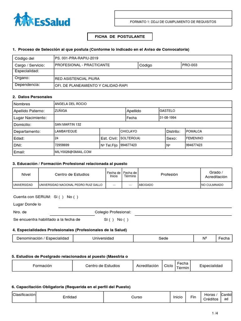 Modelo de Essalud | PDF | Educación avanzada