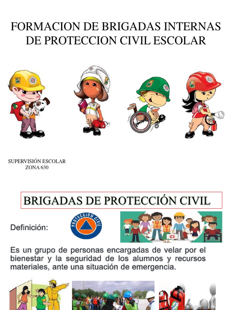 Formación de Brigadas de Proteccion Civil | PDF