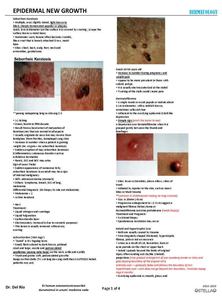 Epidermal New Growth by Stella | PDF | Scar | Endocrine System