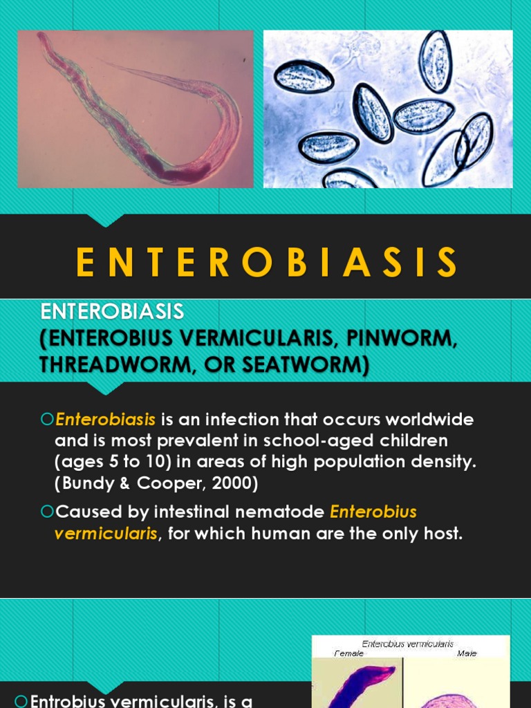 ENTEROBIASIS | PDF | Diseases And Disorders | Clinical Medicine