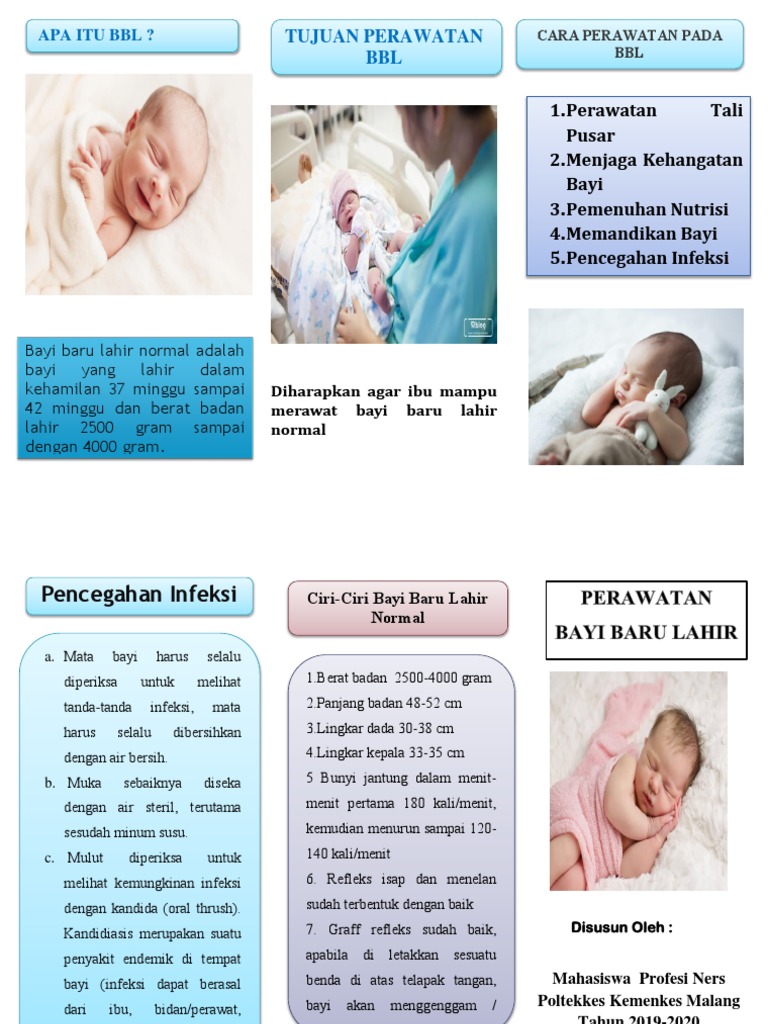 Leaflet BBL Fixx | PDF