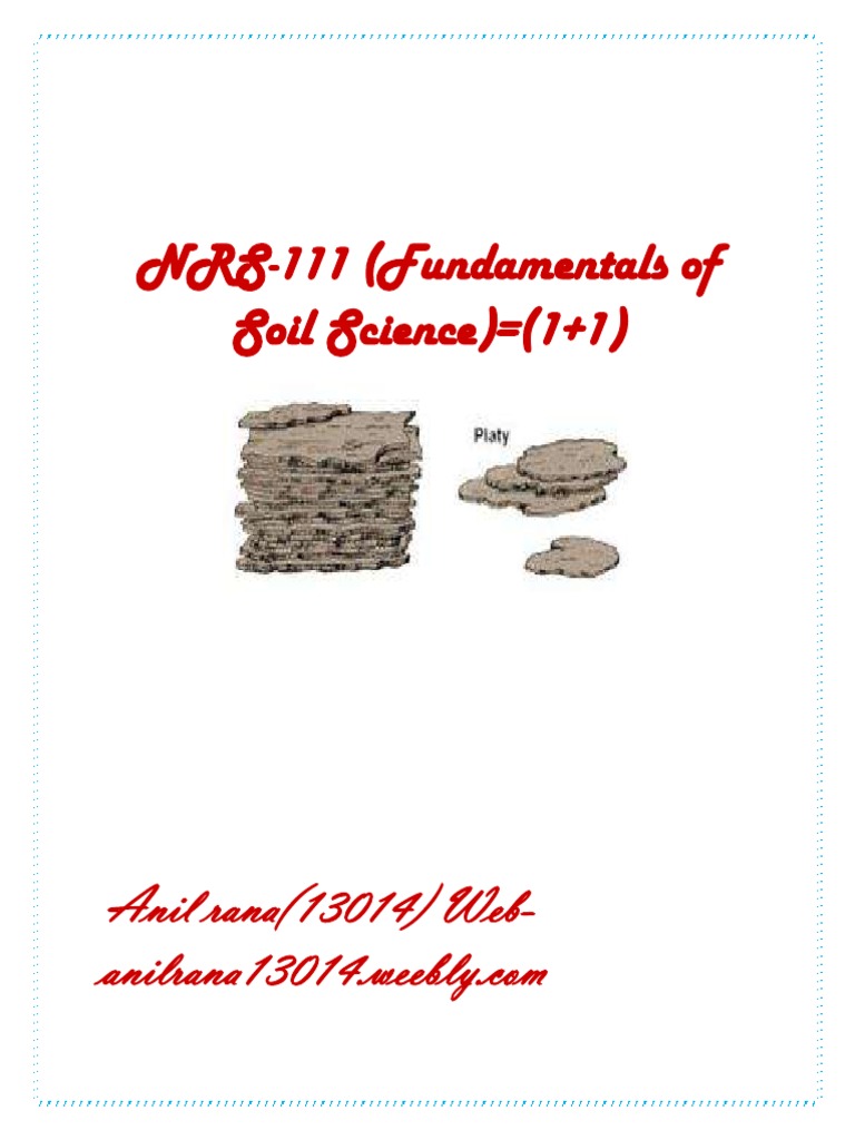 Fundamentals of Soil Science | PDF | Rock (Geology) | Soil