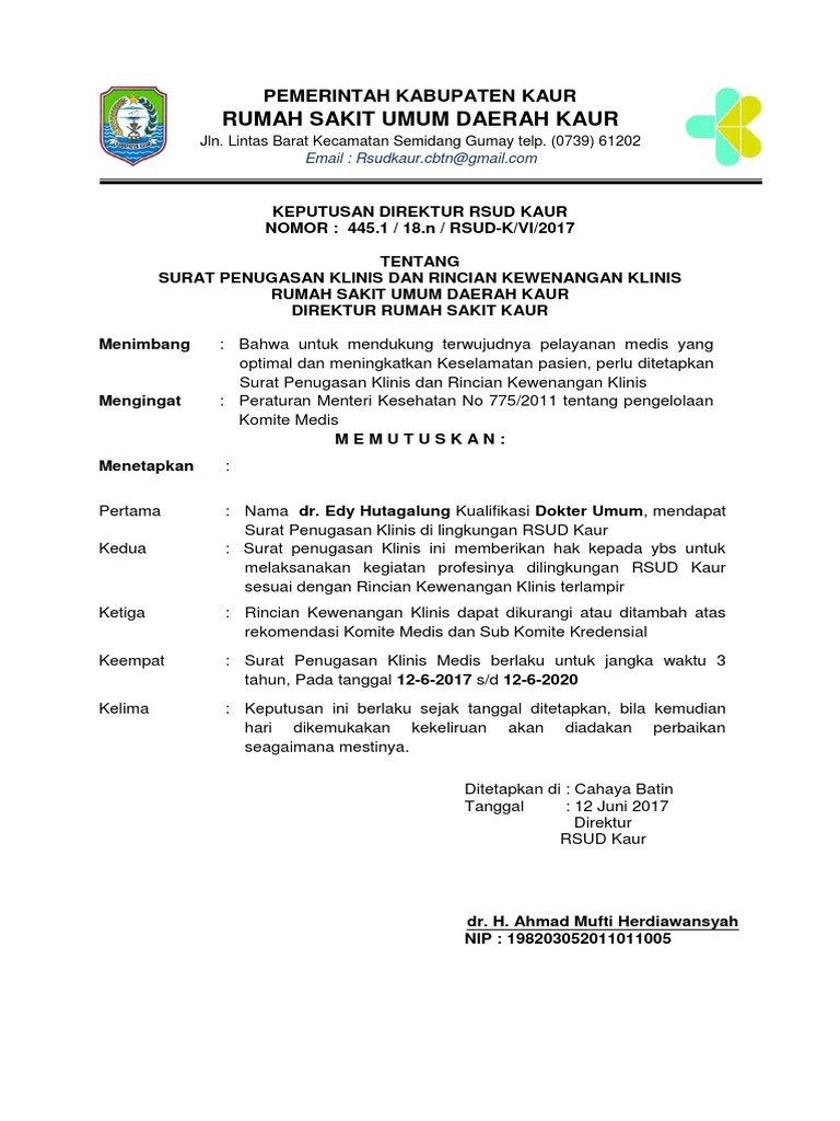 RKK Dokter UMUM | PDF