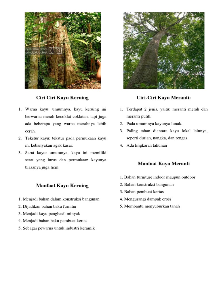 Ciri Dan Manfaat Kayu | PDF | Griya & Taman