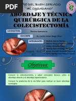 Incisión Rocky Davis | PDF | Medicina CLINICA | Anatomía