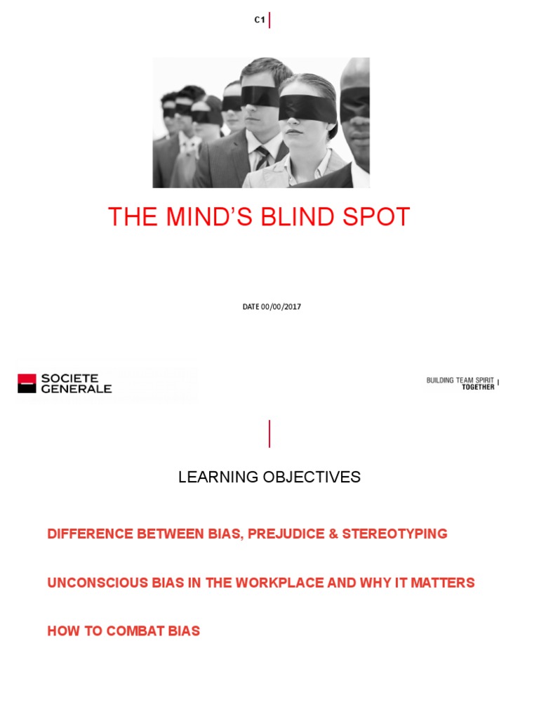 The Mind's Blind Spot | PDF | Bias | Stereotypes