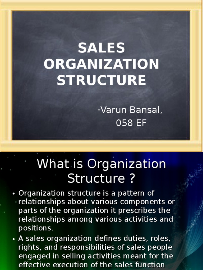 Sales Organization Structure | PDF | Sales | Organizational Structure