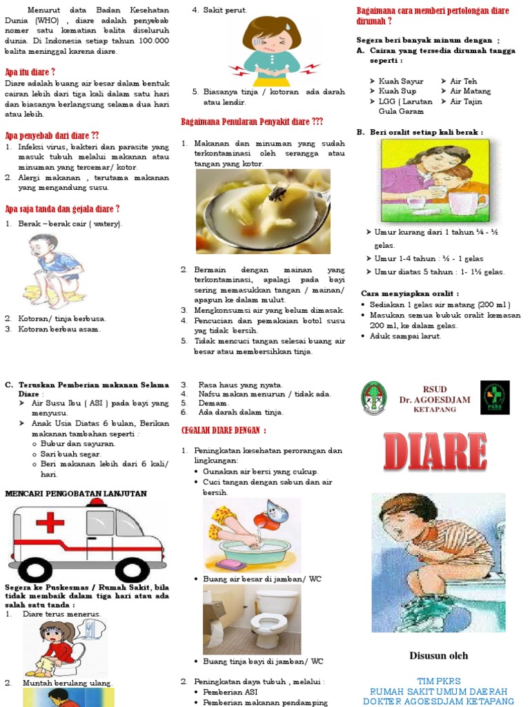 Leaflet Diare | PDF