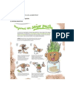 Instrucciones para hacer un Señor Cabeza de Pasto | PDF | Hogar ...