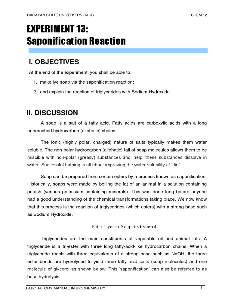 Biochemistry Lab Manual | PDF | Soap | Sodium Hydroxide