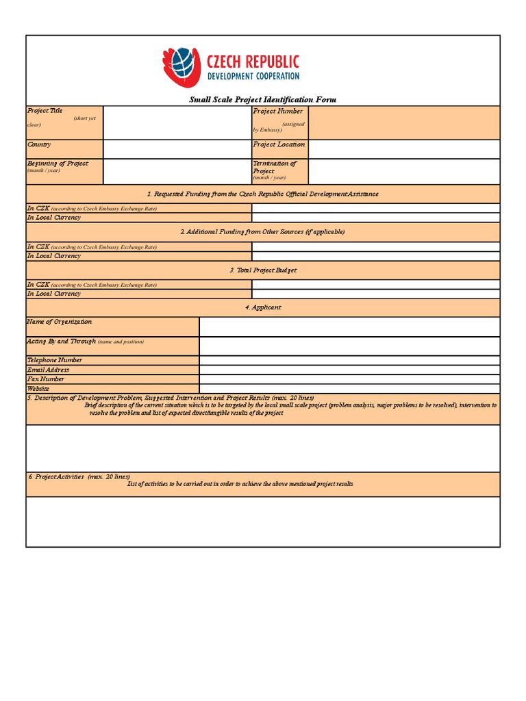 SSP Identification Form | PDF | Exchange Rate | Economies