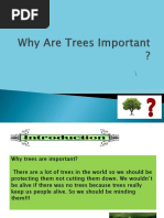 Narrative Report Tree Planting | PDF | Trees | Bonsai
