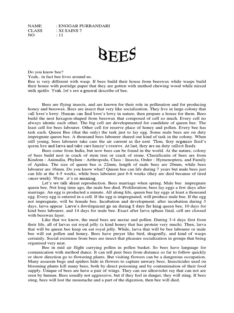 Report Text Bee Pdf Bees Insects