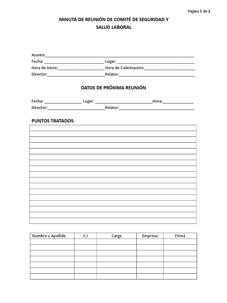 Formato de Minutas | PDF