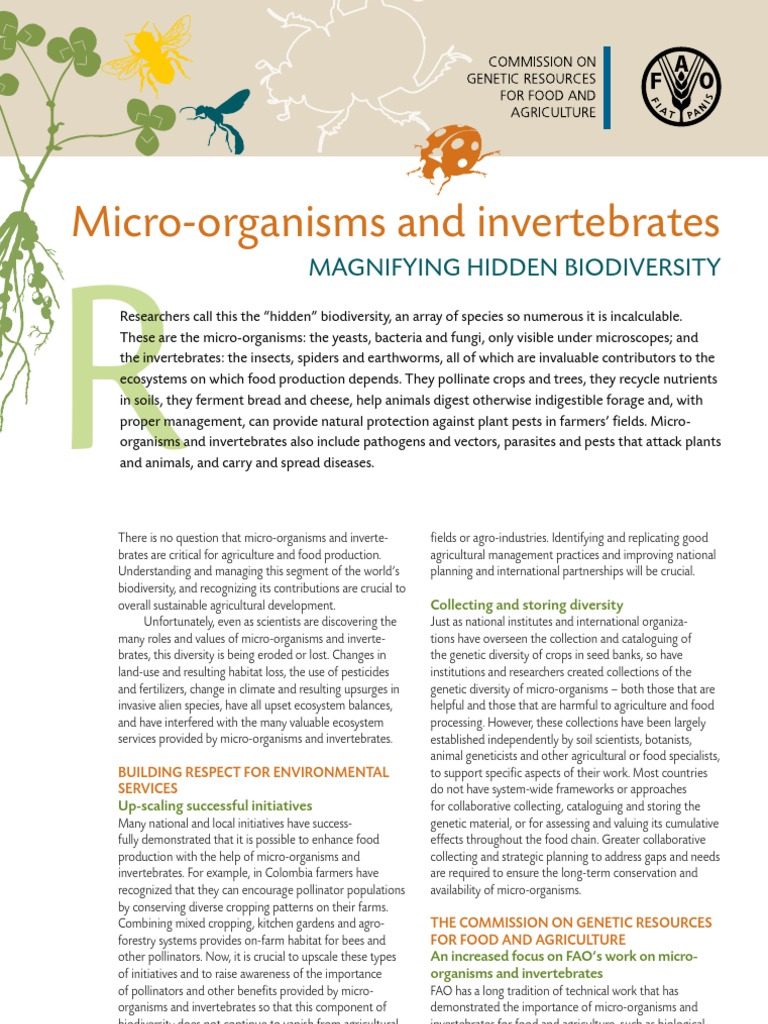Fact Sheets Microorganism en | PDF | Biodiversity | Agriculture