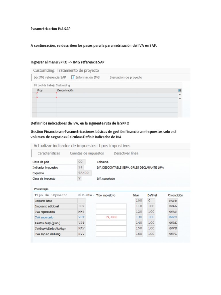 Manual Parametrización IVA SAP | PDF