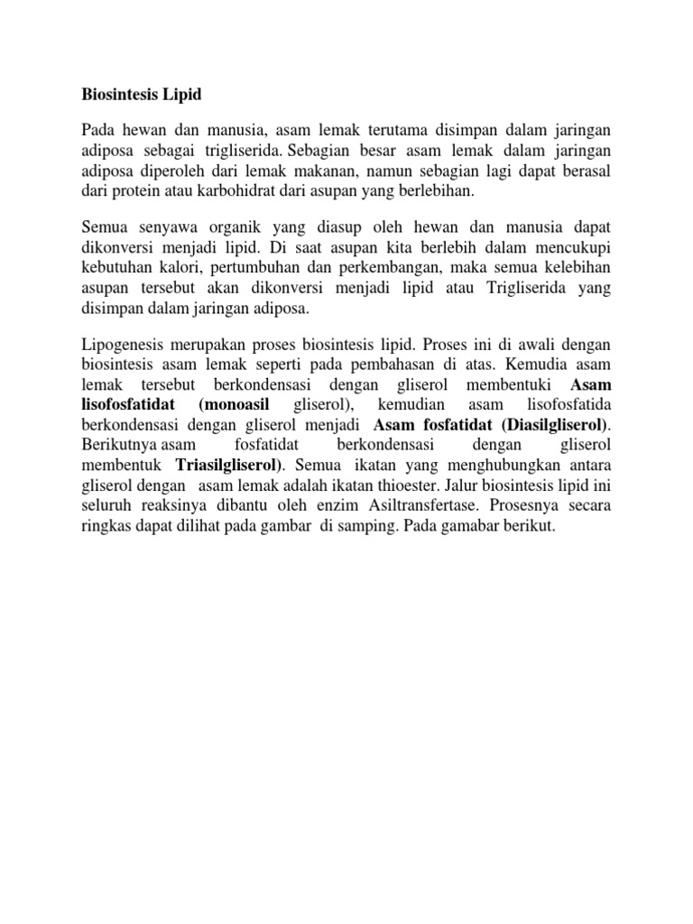 Lipogenesis: Proses Biosintesis Lipid | PDF | Kesehatan Holistik