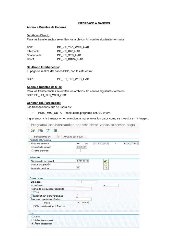 HCM Proceso TXT Bancos | PDF