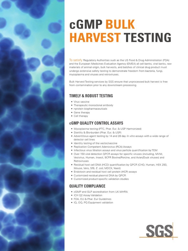 CGMP Bulk Harvest Testing | PDF | Biopharmaceutical | Virus