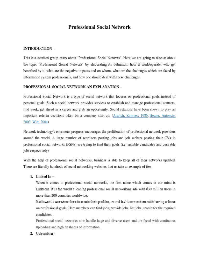 Understanding Professional Social Networks | PDF | Social Networking ...